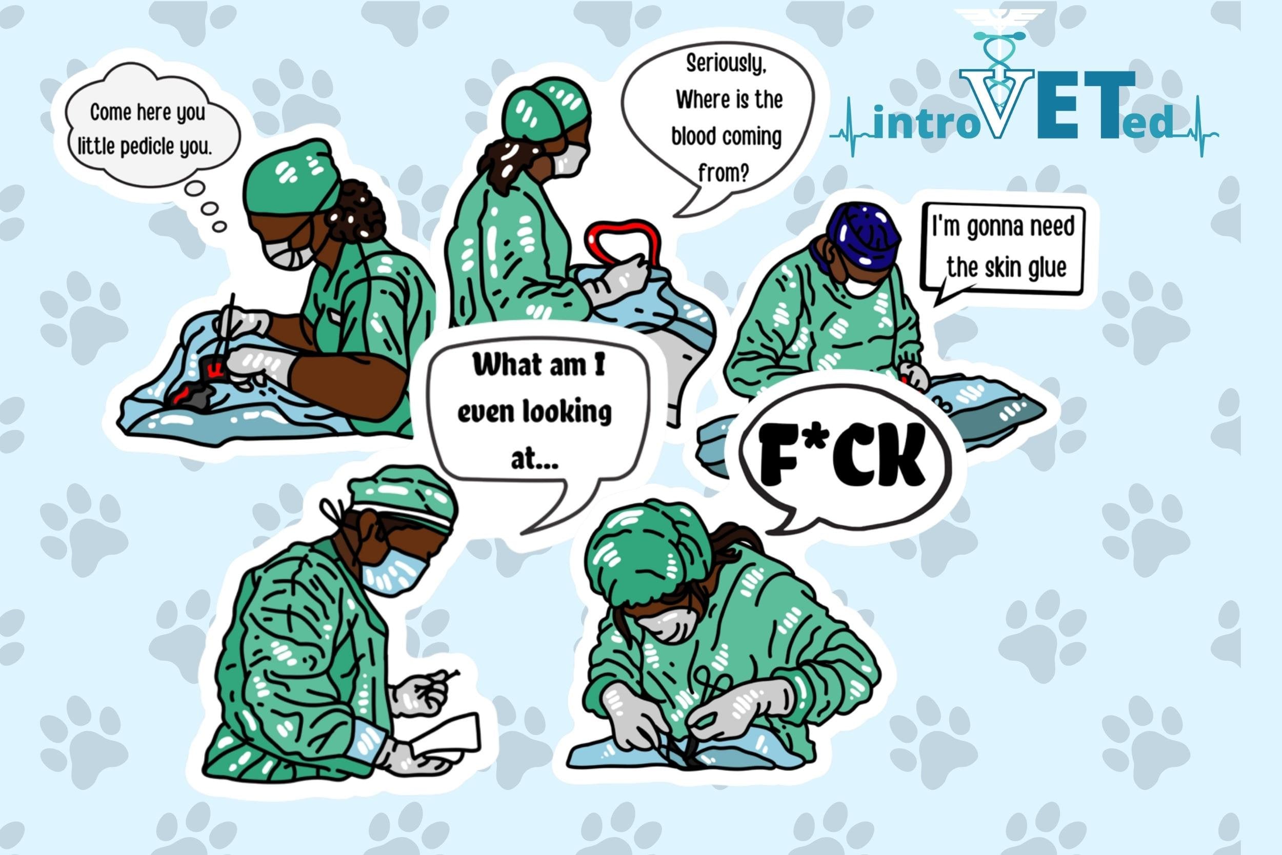 Surgeon Sticker 5-packfunny Doctor Sticker Packsurgeon - Etsy