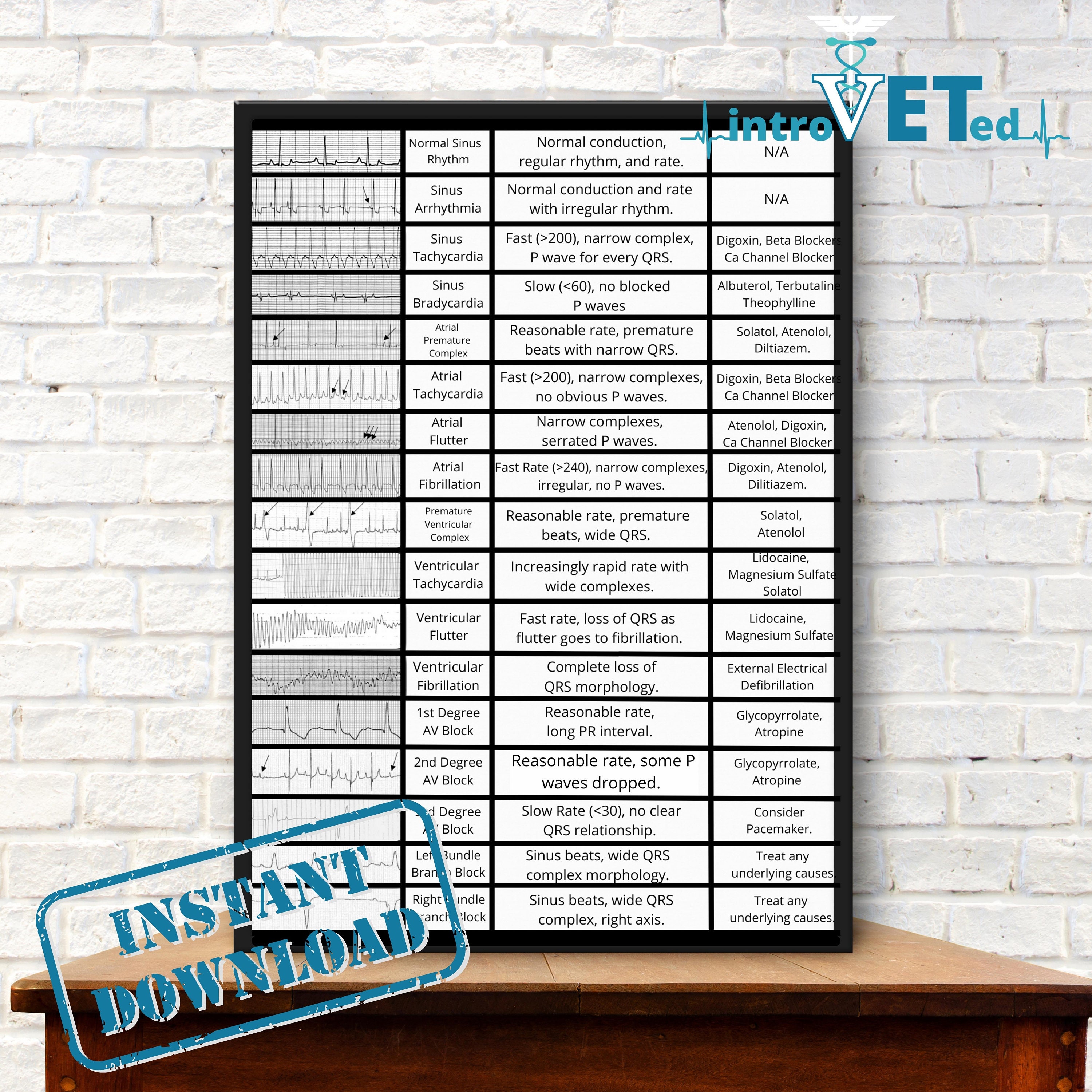 Veterinary ECG Chart Digital Downloadveterinary Cardiac Chart - Etsy