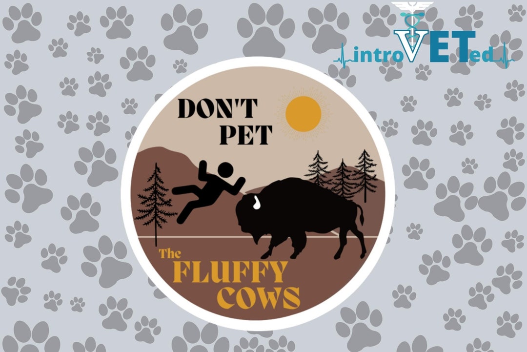 Don't Pet the Fluffy Cows Sticker,buffalo Sticker, Camping Sticker ...