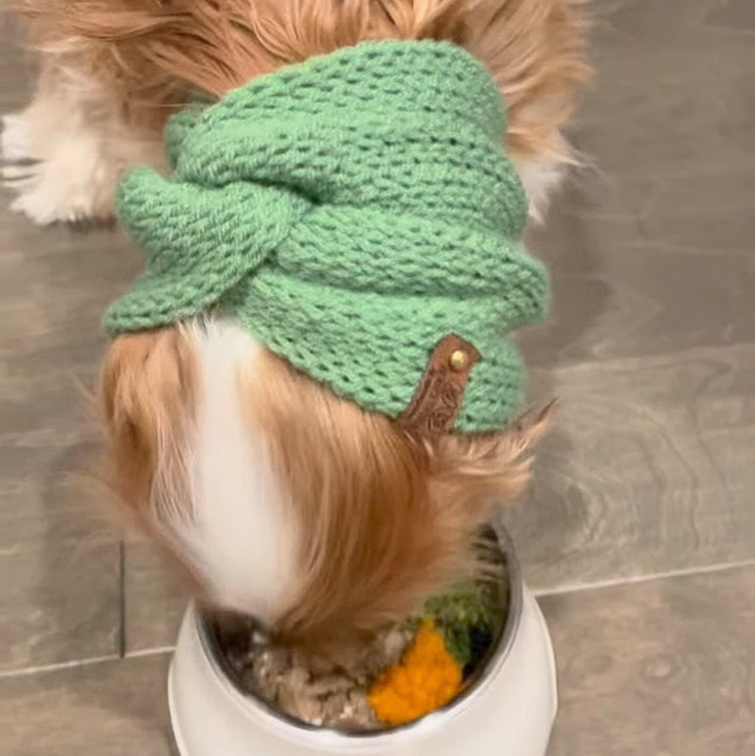 Twist Design Handmade Dog Snood - MADE IN IRELAND - Etsy