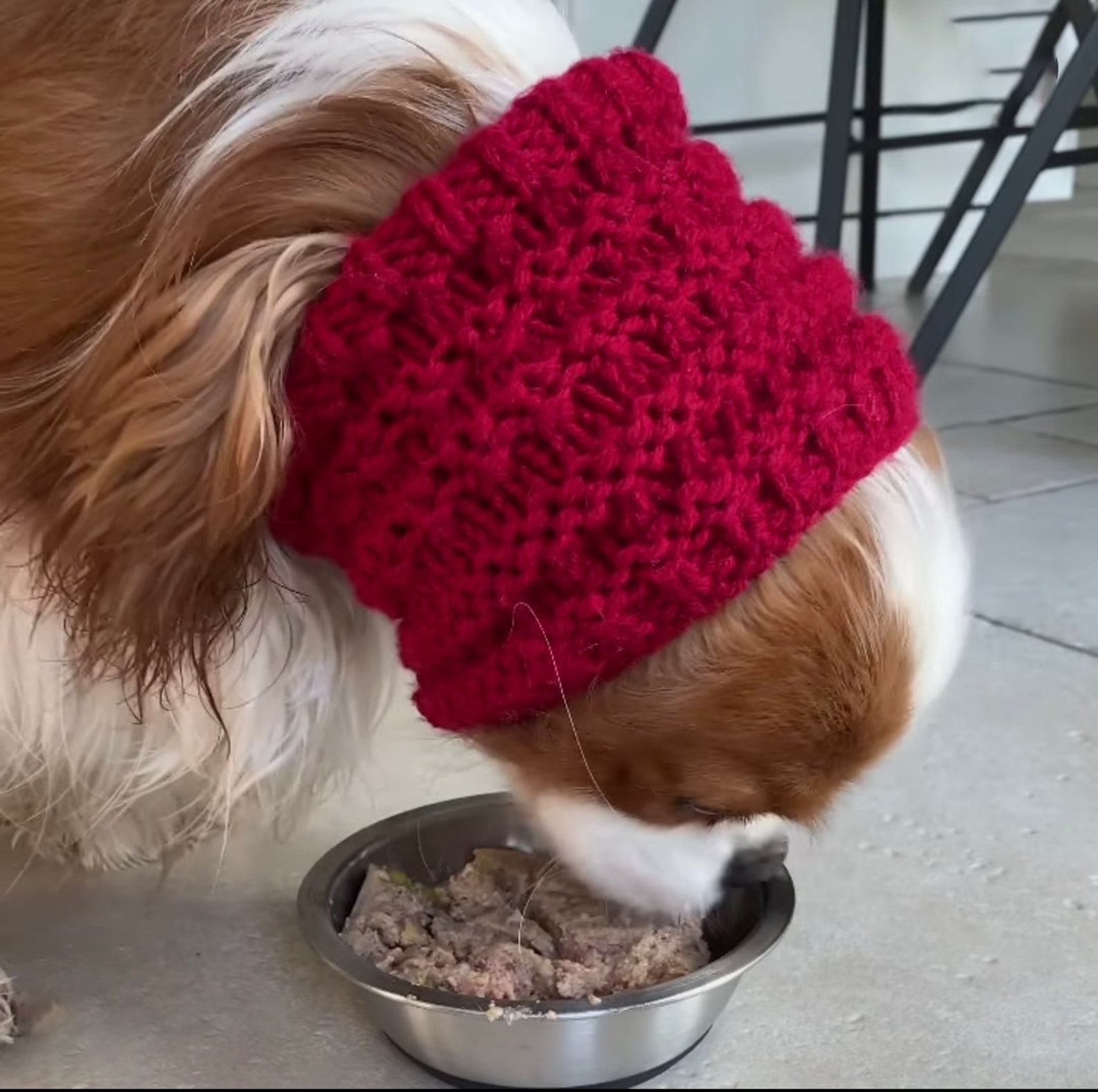 Classic Handmade Dog Snoods MADE IN IRELAND | Etsy