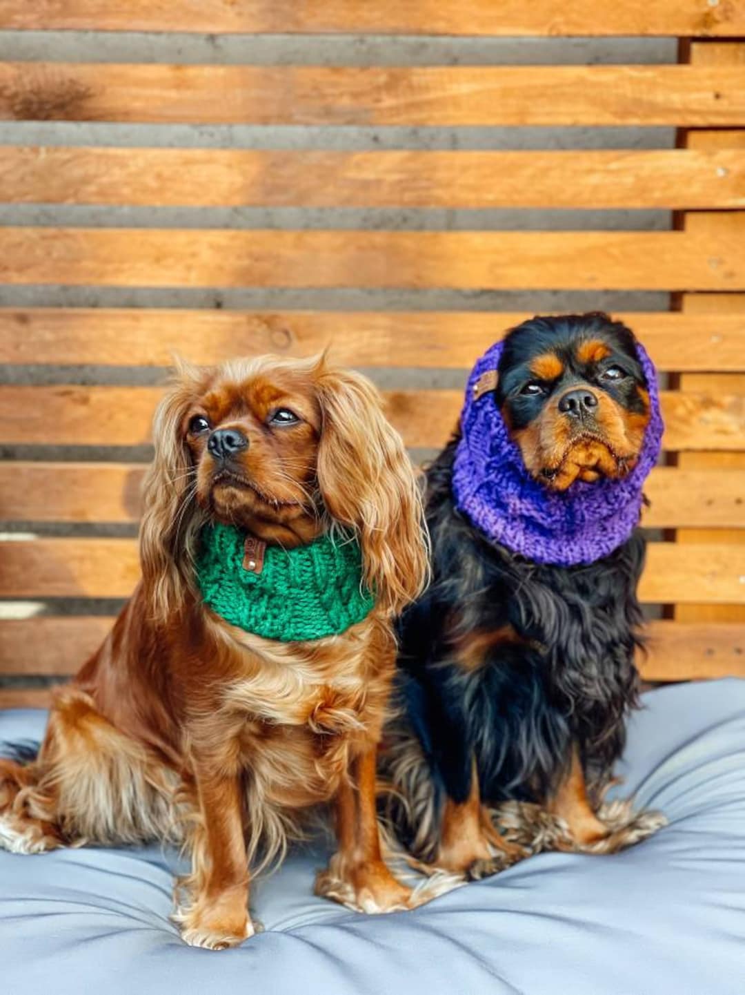 Classic Handmade Dog Snoods - MADE IN IRELAND - Etsy Canada