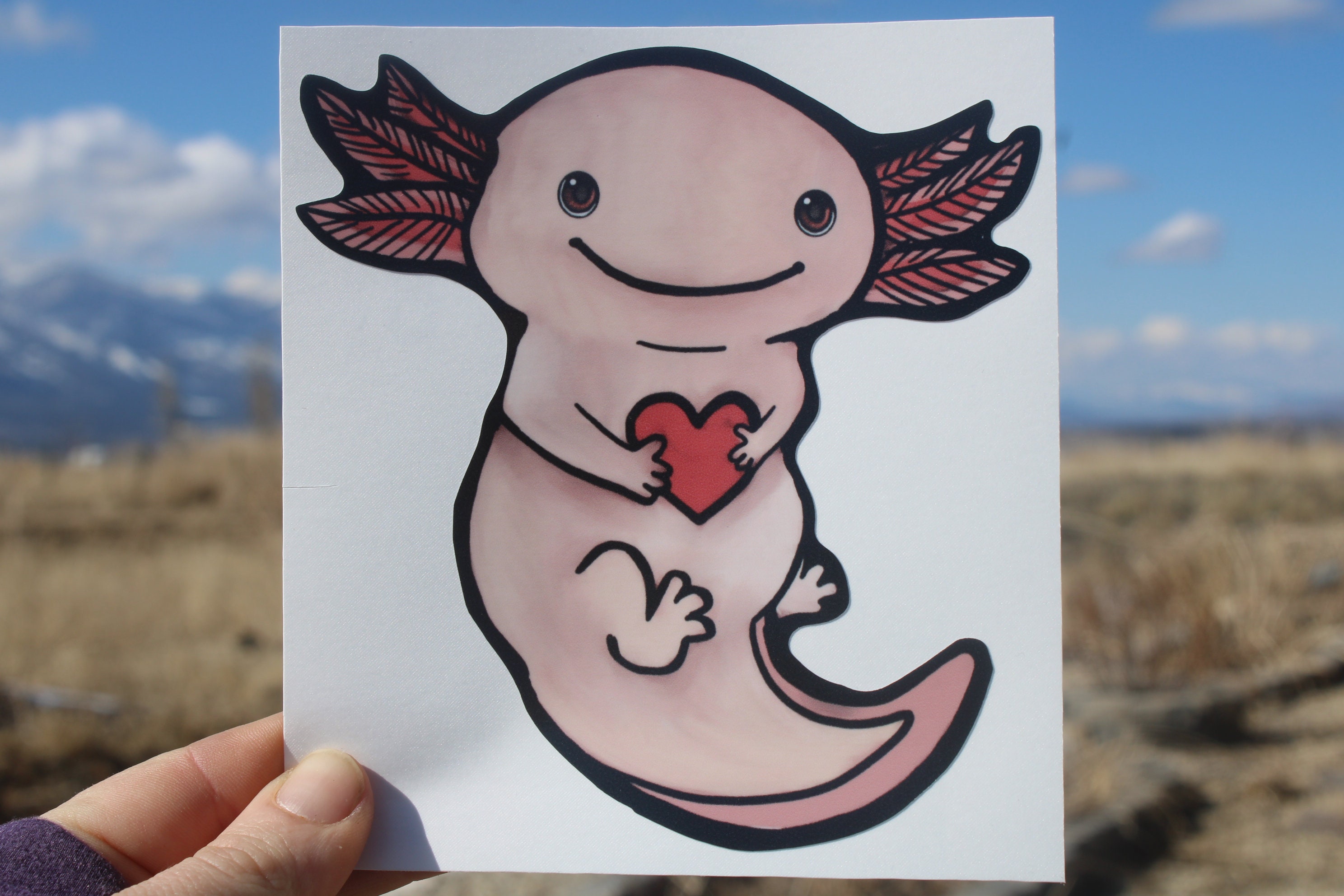 Axolotl Vinyl Sticker for Cars, Trucks, Laptops: Gift for Newt Lovers ...