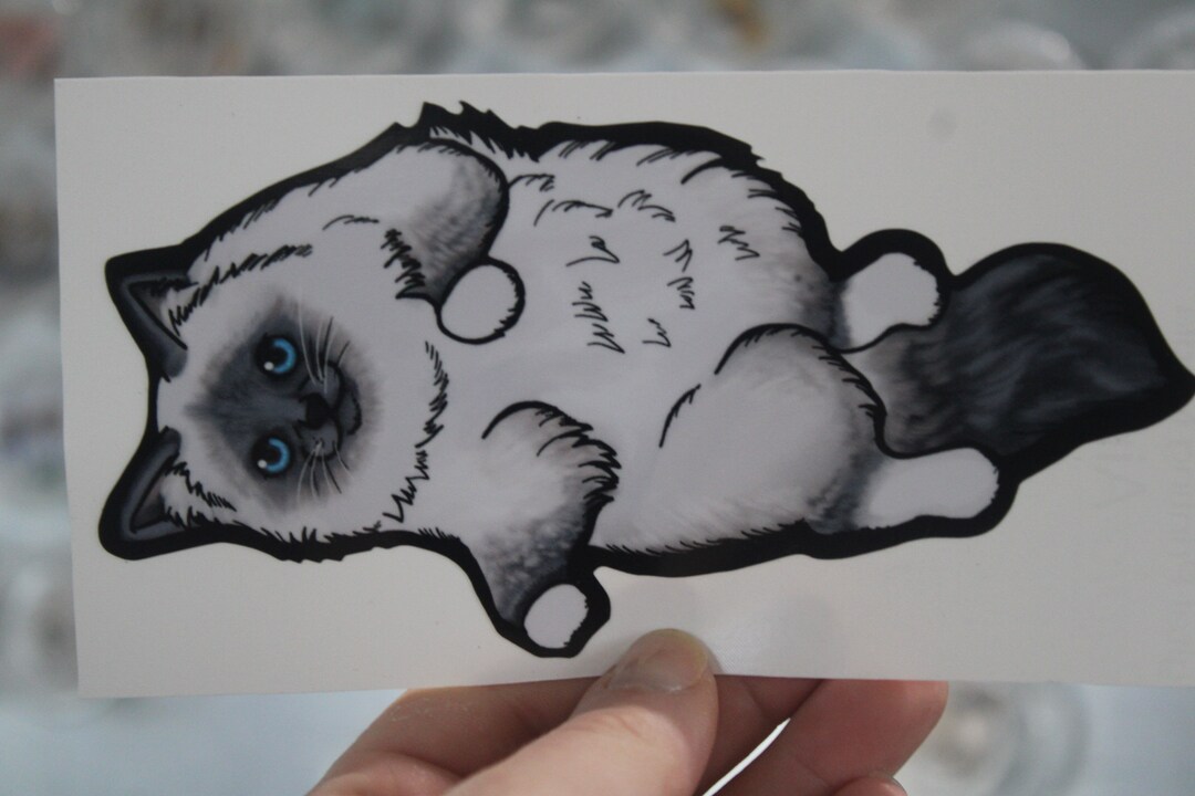 Ragdoll Himalayan Cat Vinyl Sticker for Cars, Trucks, Laptops: Gift for ...