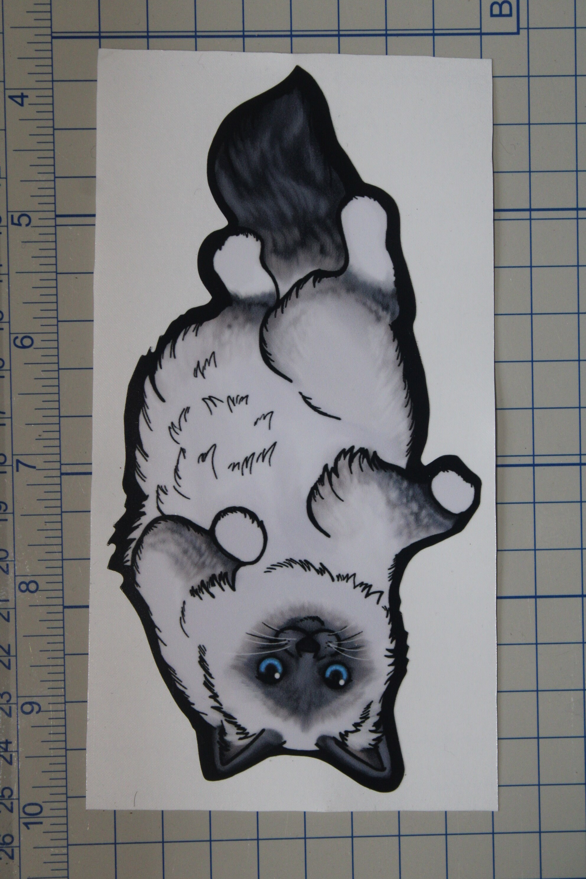 Ragdoll Himalayan Cat Vinyl Sticker for Cars, Trucks, Laptops: Gift for ...