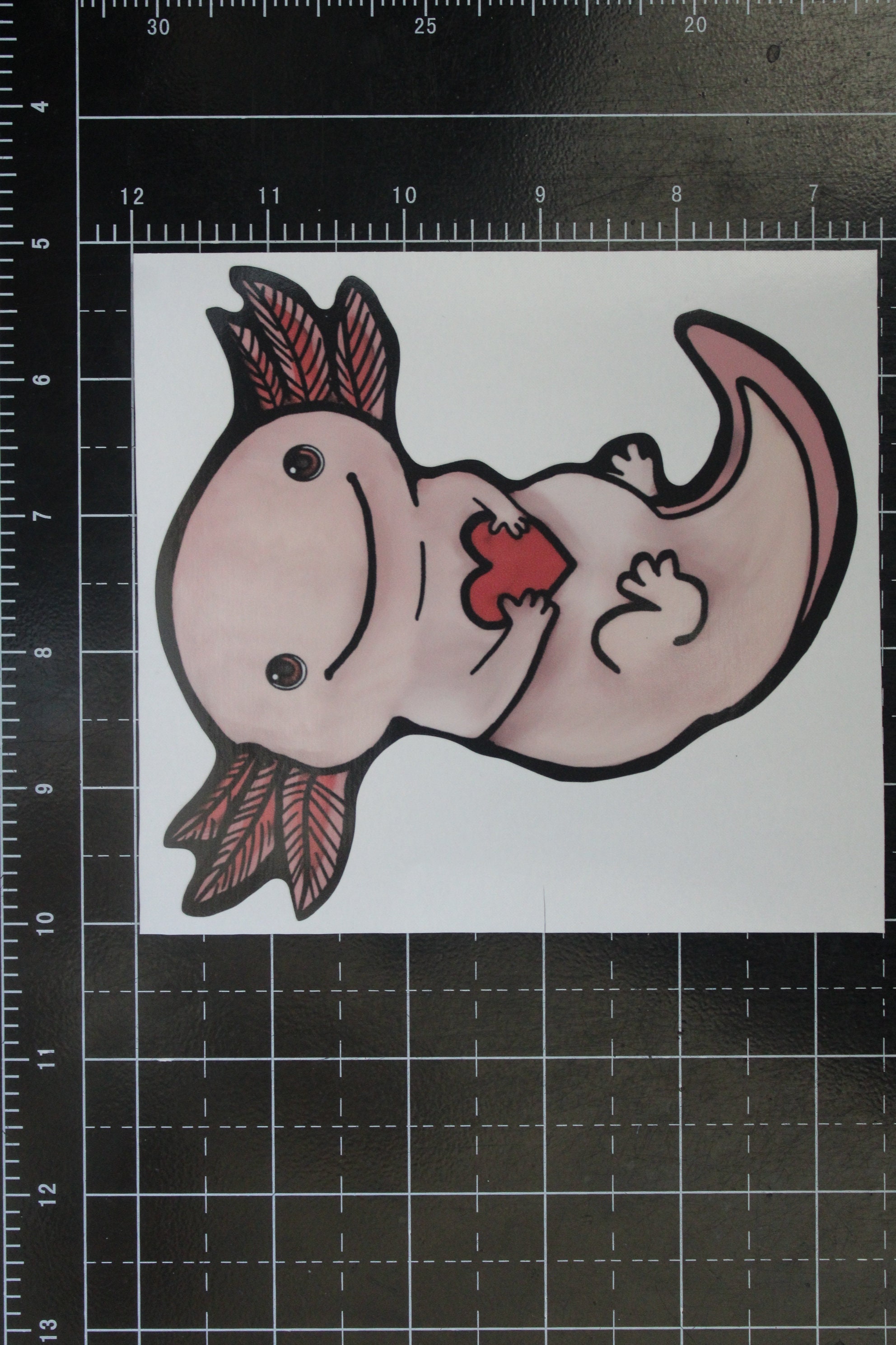 Axolotl Vinyl Sticker for Cars, Trucks, Laptops: Gift for Newt Lovers ...