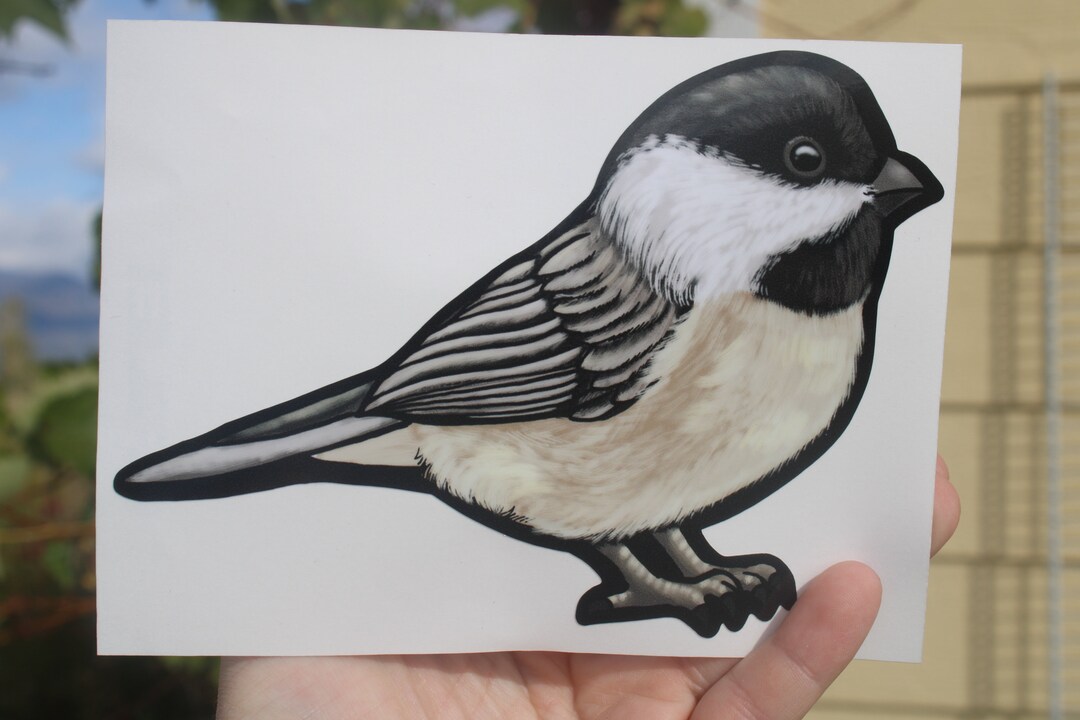 Chickadee Vinyl Sticker for Cars, Trucks, Laptops: Gift for Bird Lovers ...