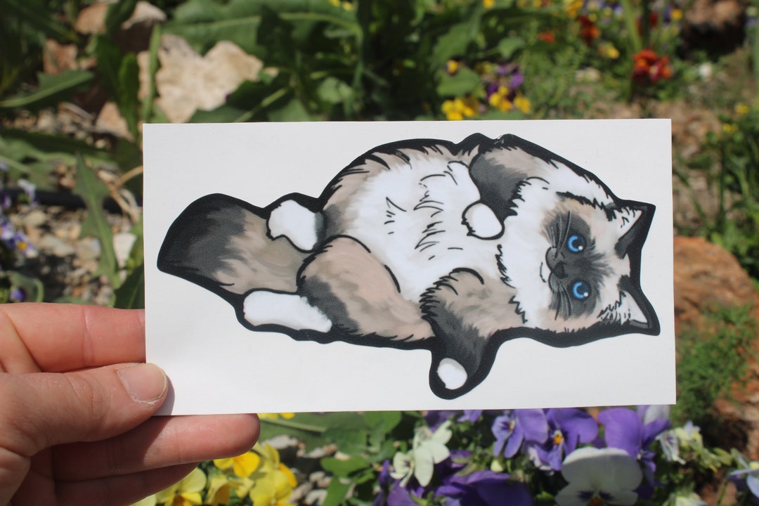 Ragdoll Himalayan Cat Vinyl Sticker for Cars, Trucks, Laptops: Gift for ...