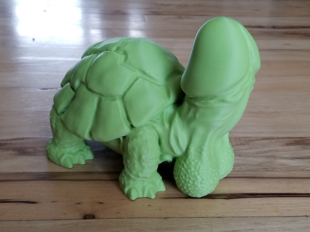 Dick Turtle 3D Printed Figurine - Etsy