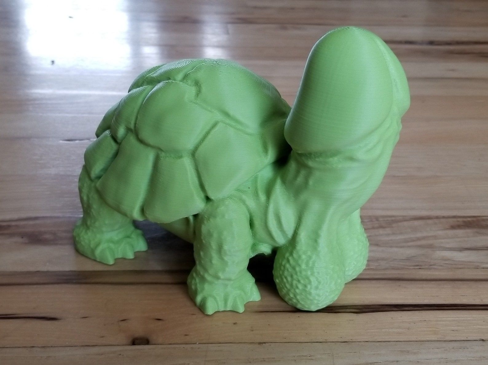 Dick Turtle 3D Printed Figurine - Etsy UK
