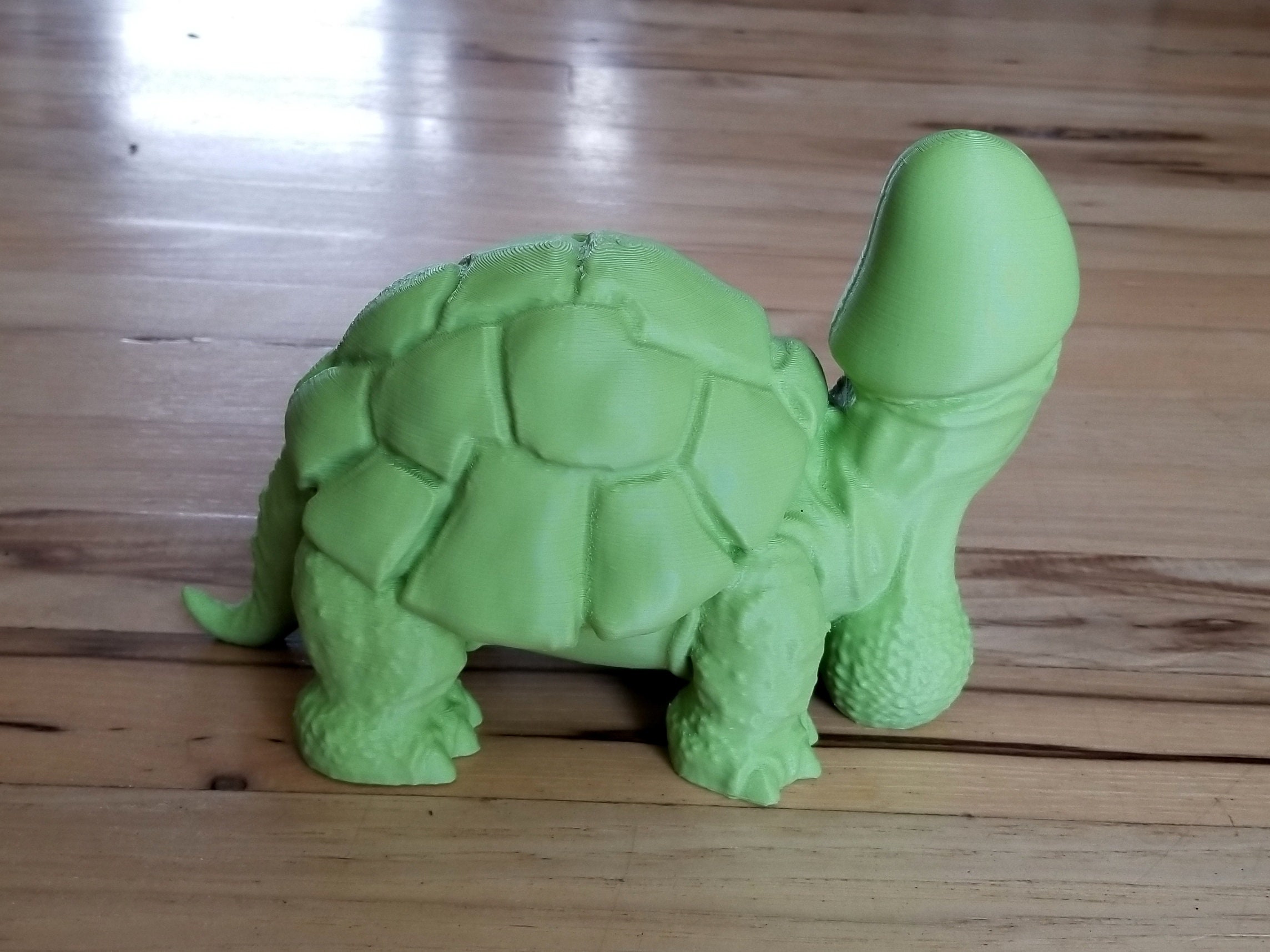 Dick Turtle 3D Printed Figurine - Etsy