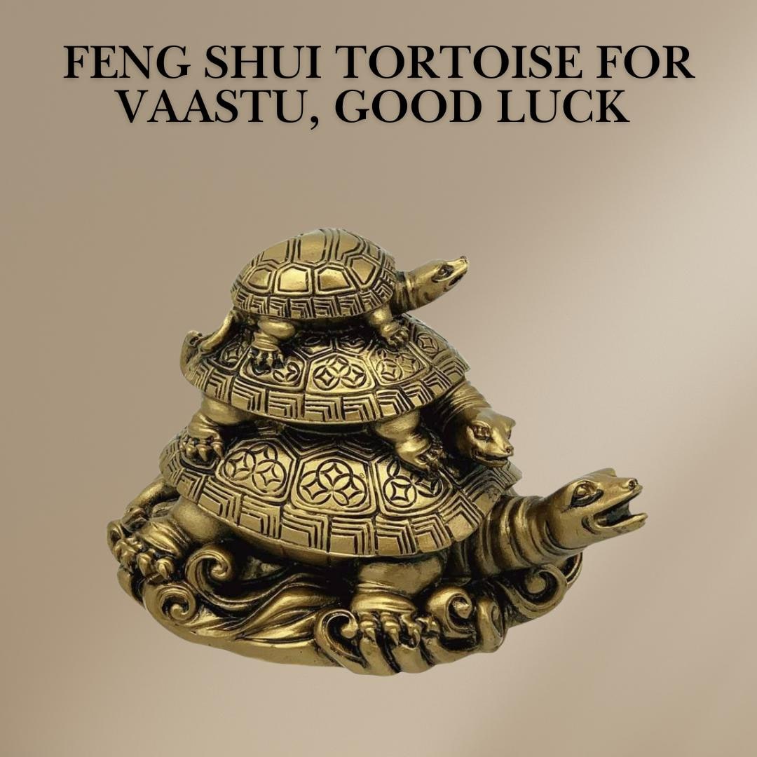 Feng Shui Tortoise | Metal Vastu Turtle Upon Turtle for Prosperity ...