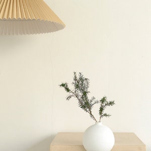 Flower Vase Cartesian Spherical Structure Art Black and White - Etsy