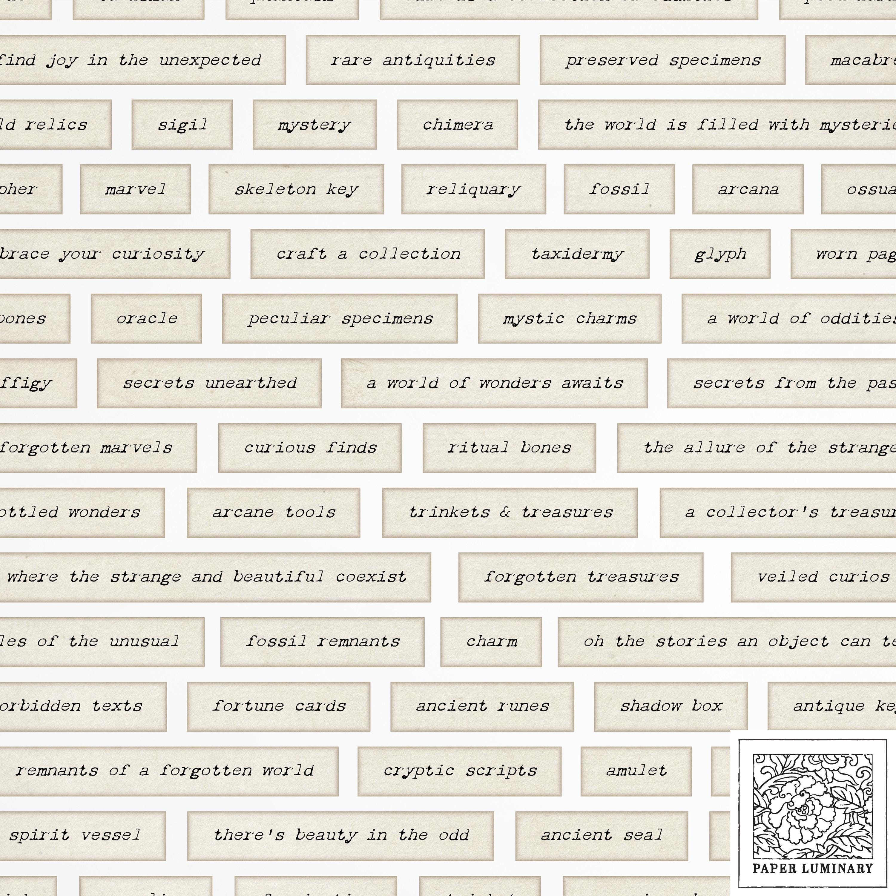 90 Curiosity and Oddity Themed Printable Words & Phrases Vintage Rustic ...