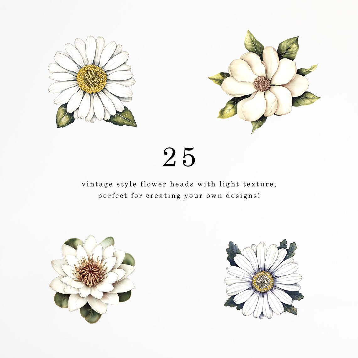 Vintage Style Flowers Transparent Clipart - Digital PNG, Junk Journal ...