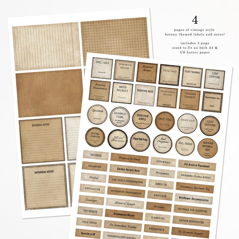 Vintage Science Botany Labels Pngs: Printable Ephemera for Junk ...