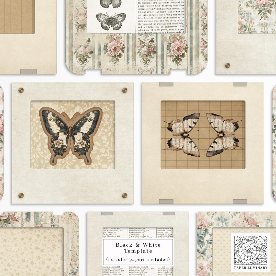 Square Specimen Slides Print-over Template – Vintage Ephemera (PDF) - Etsy