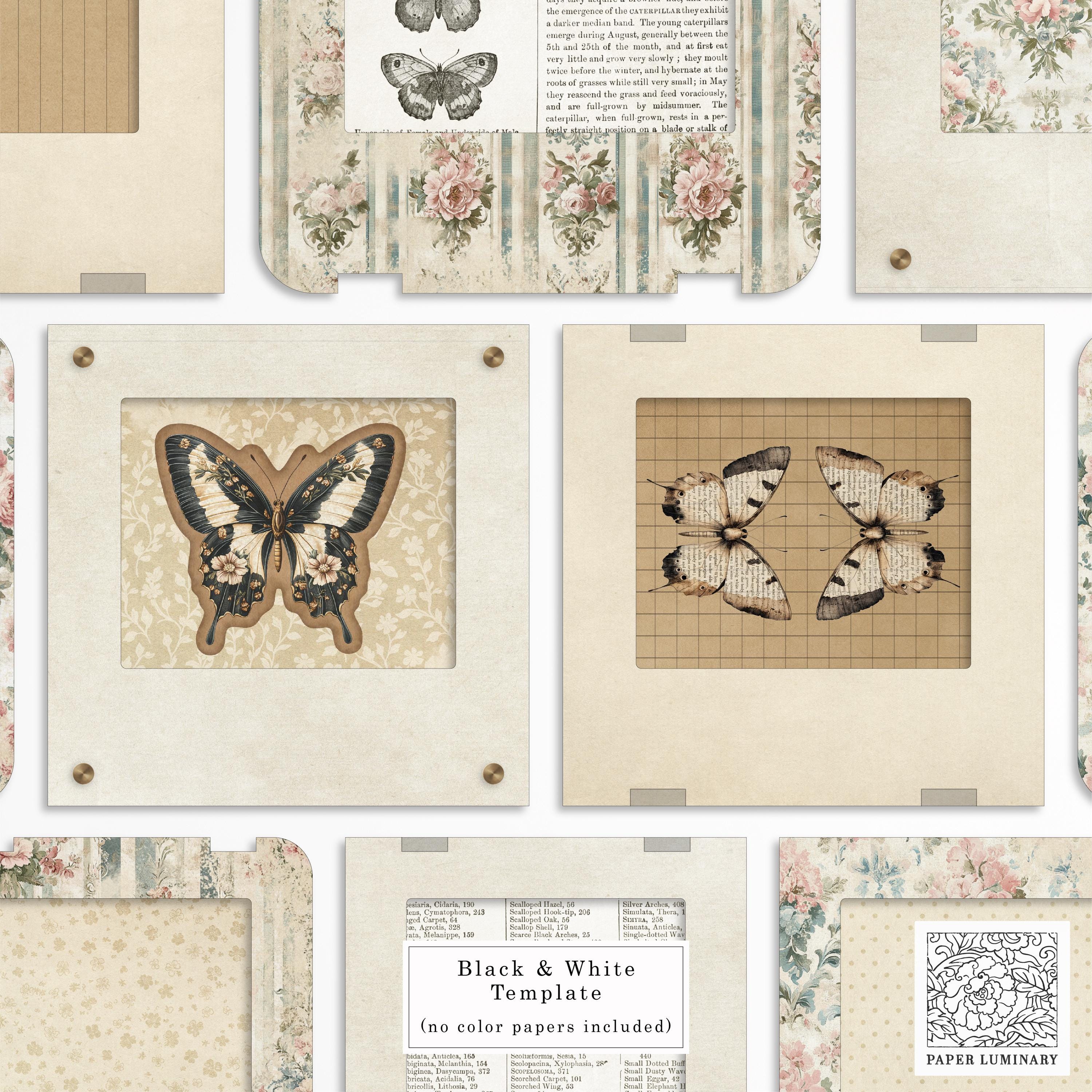 Square Specimen Slides Print-over Template – Vintage Ephemera (PDF) - Etsy