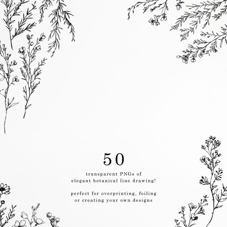 50 Vintage Botanical Line Drawing Overlays (pngs + Svgs) - Junk Journal ...
