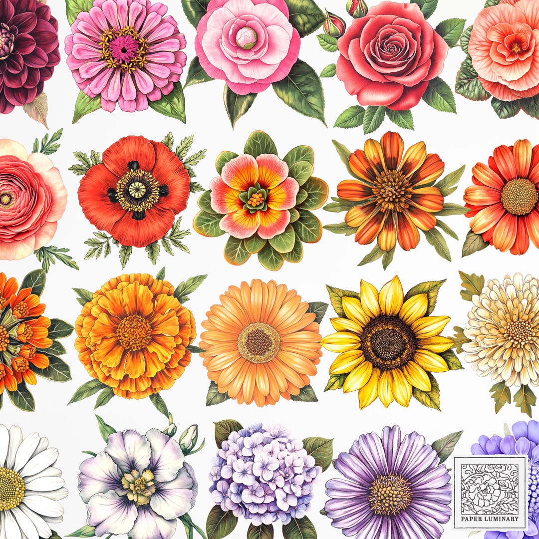 Vintage Style Flower Clipart: Transparent PNG Set (digital Download) - Etsy