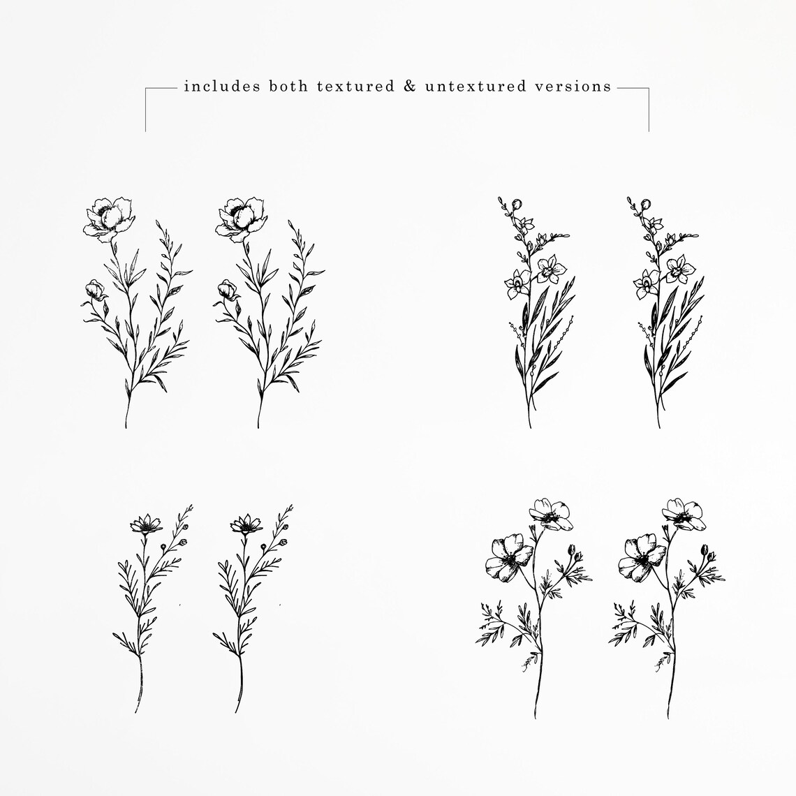 50 Vintage Botanical Line Drawing Overlays (pngs + Svgs) - Junk Journal ...