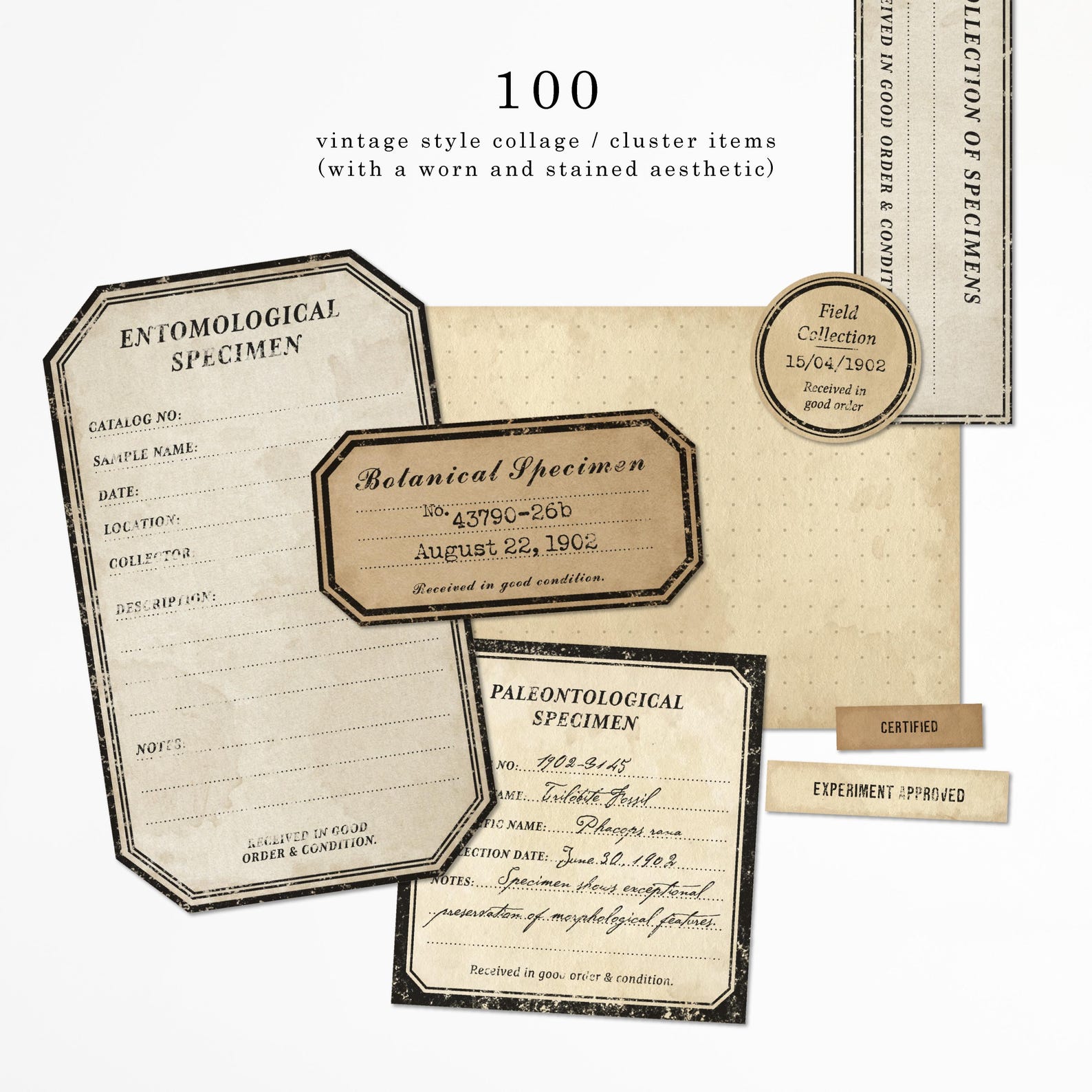 Vintage Science Labels & Notes - Printable Collage/cluster Junk Journal ...