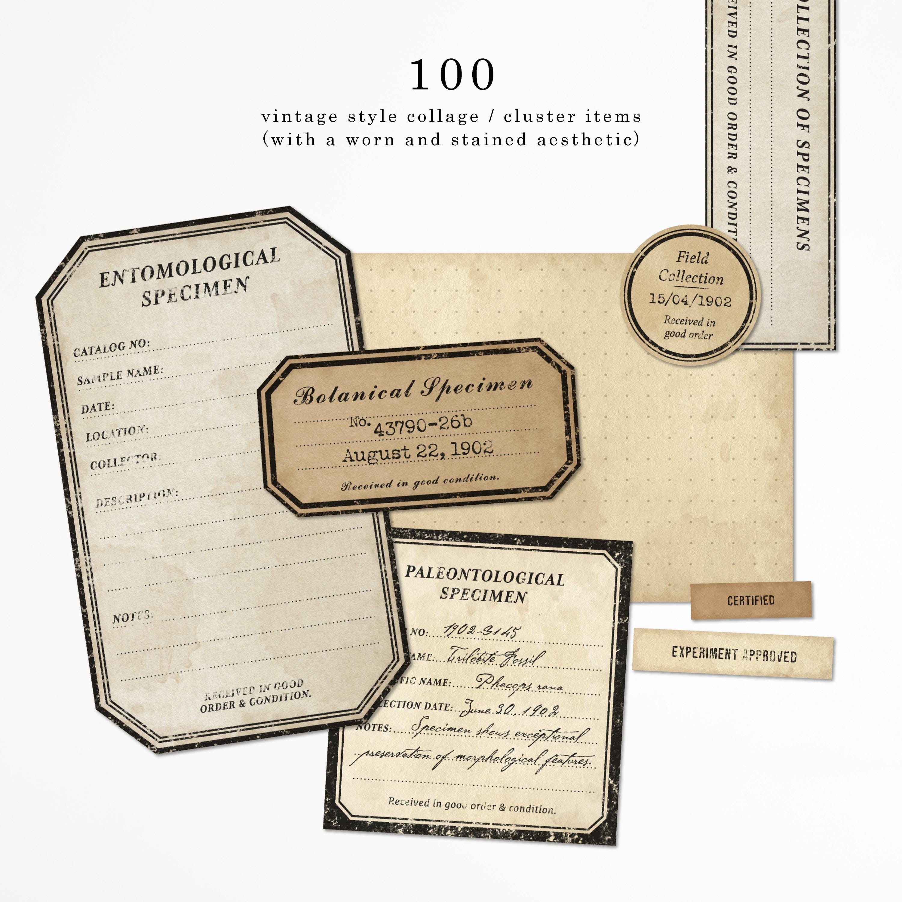 Vintage Science Labels & Notes - Printable Collage/cluster Junk Journal ...