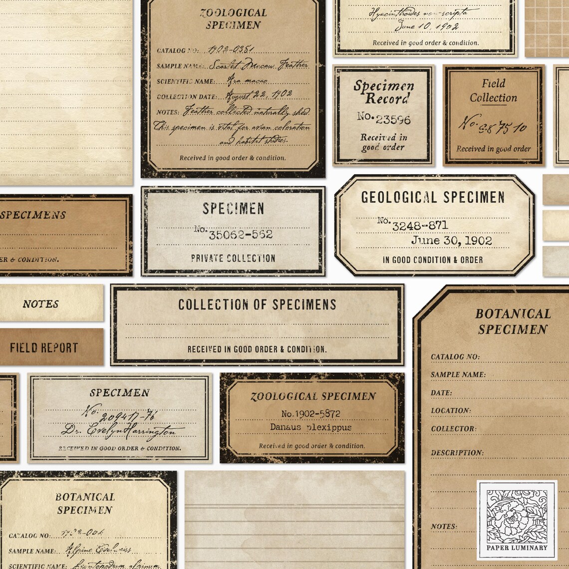 Vintage Science Labels & Notes - Printable Collage/cluster Junk Journal ...