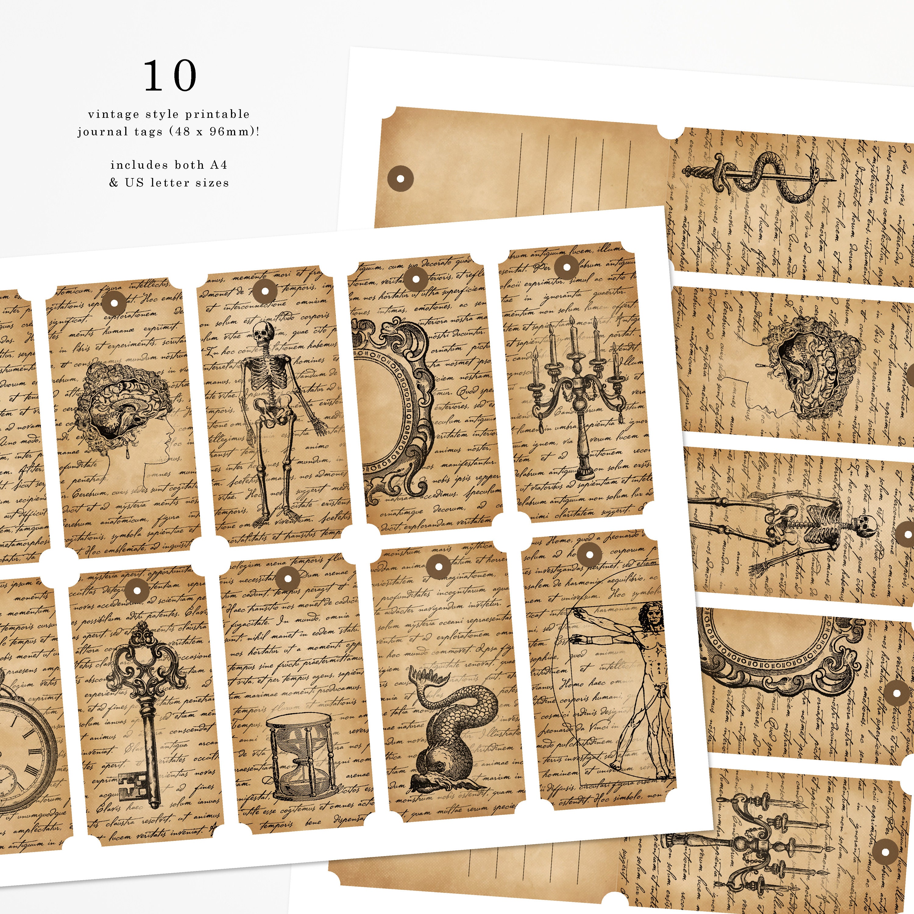 Vintage Curiosity Journal Tags: Printable Ephemera (digital Download ...