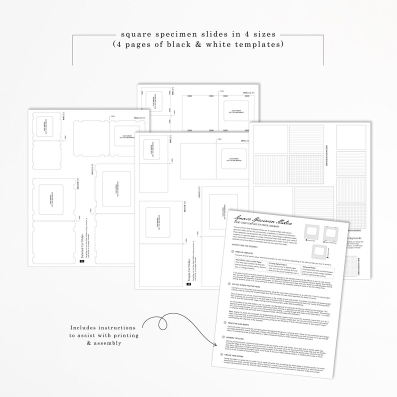 Square Specimen Slides Print-over Template (black & White) - Vintage ...