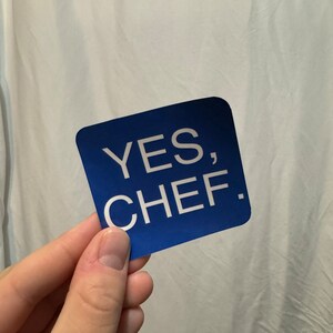 Fx's the Bear Inspired Vinyl Sticker Original Beef of Chicagoland Yes Chef Every Second Counts ...