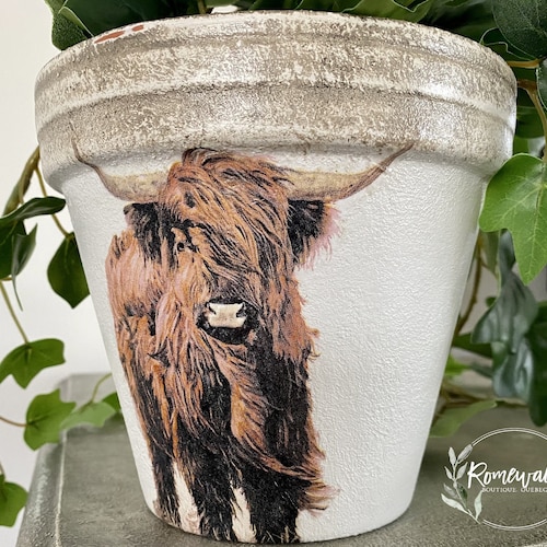 Indoor Planters Hand painted highland cow plant pot Home & Living etna ...