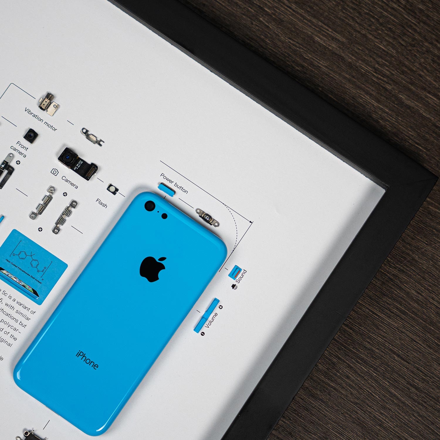 Iphone 5c Green Front
