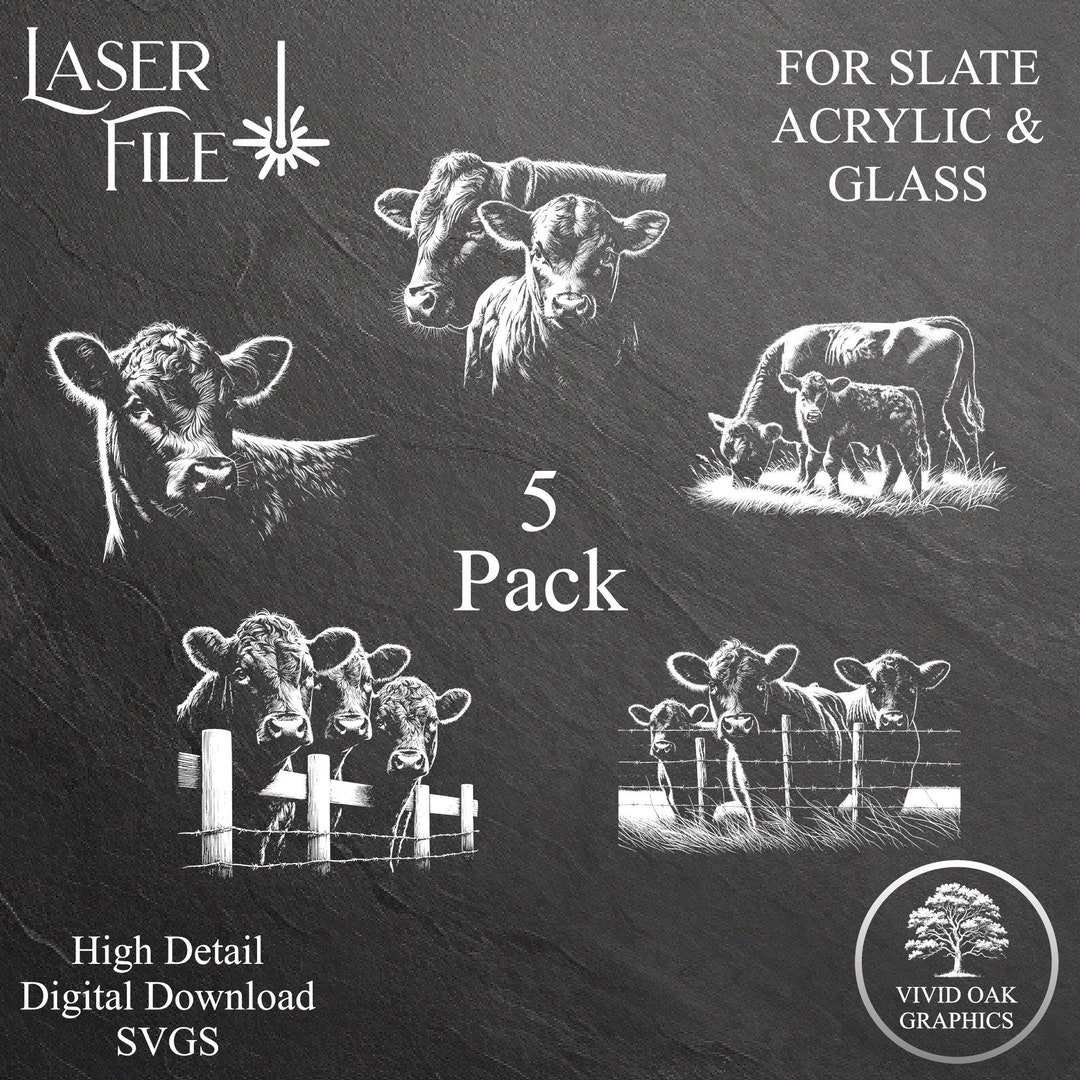Angus Cow SVG Bundle, Laser Engrave Files (digital Download) - Etsy