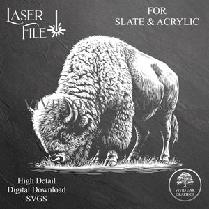 Buffalo Bison 4 Engrave Files, SVG, Instant Digital Download Files for ...