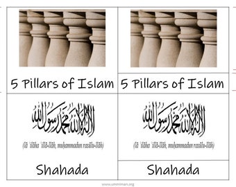 Montessori 3 Part Cards Parts of a Giraffe - Etsy