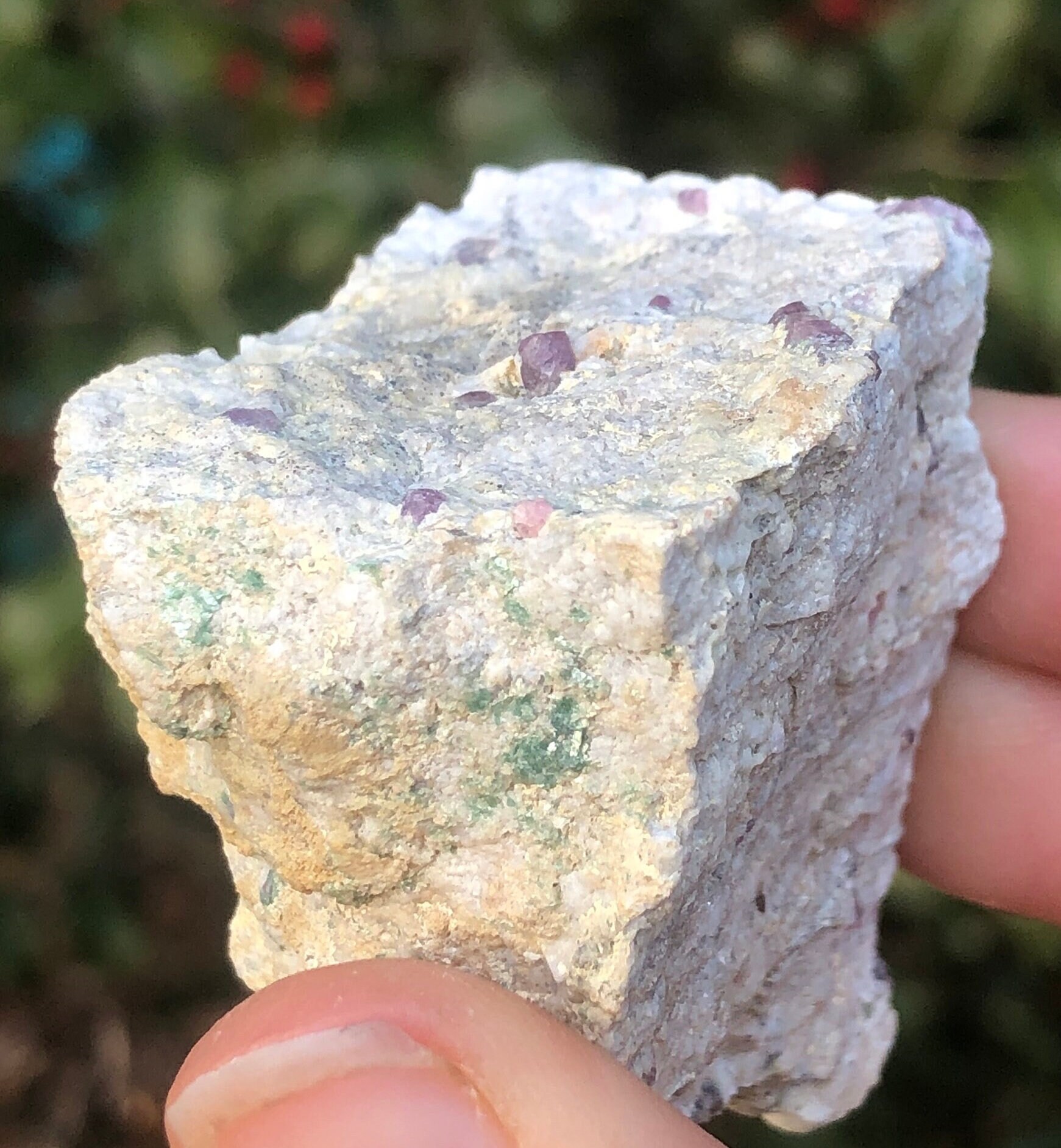 Ruby Ruby Specimen Ruby in Matrix Rare Minerals California - Etsy