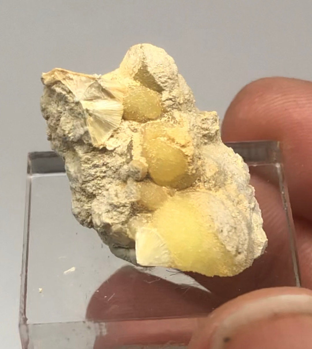 Wavellite, Yellow Wavellite, Wavellite Sprays, Rare Minerals ...