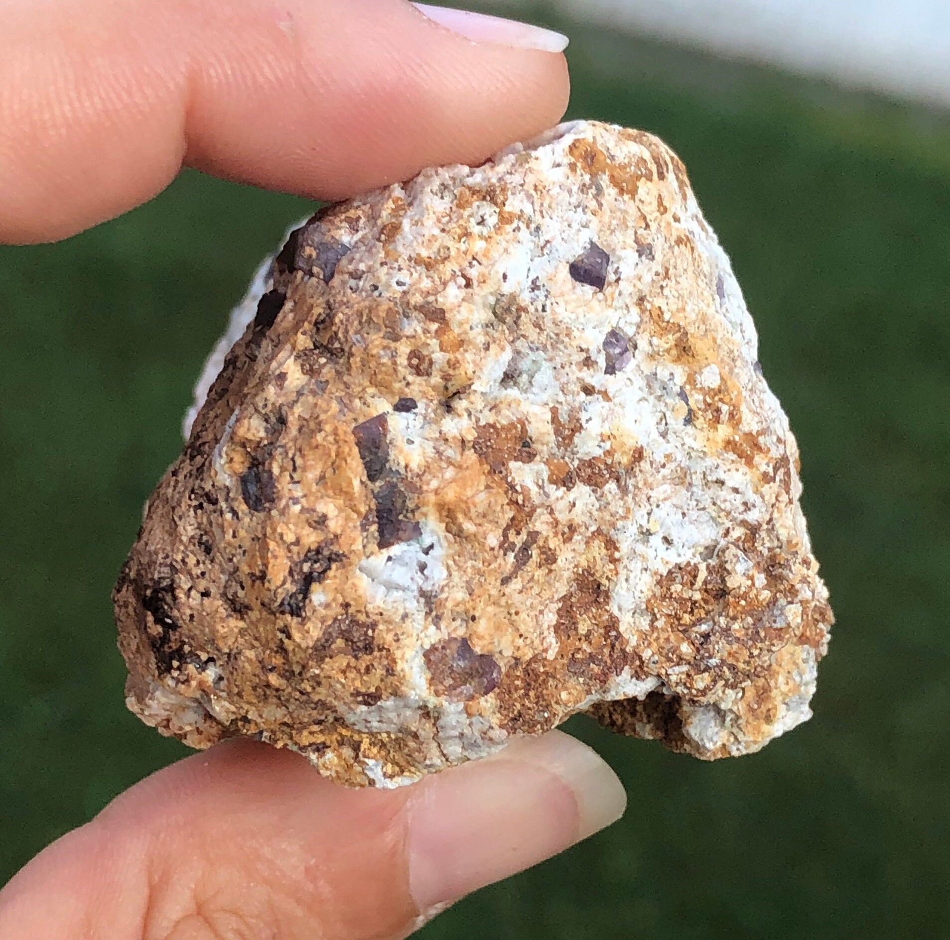Ruby Ruby Specimen Ruby in Matrix Rare Minerals California - Etsy