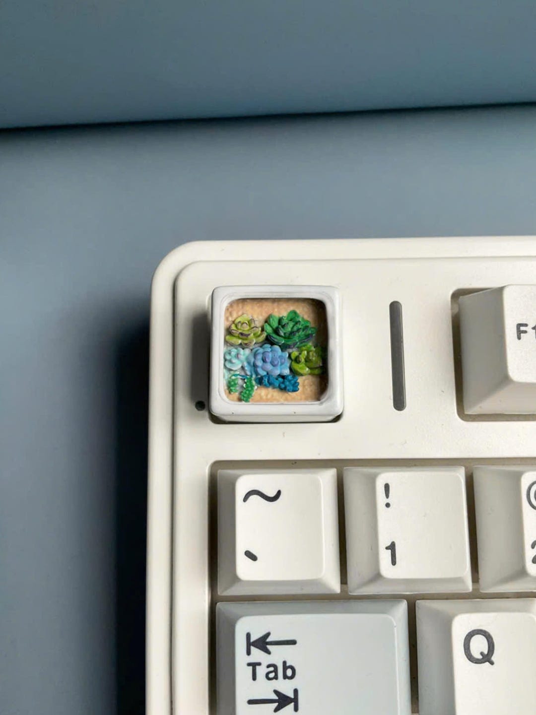 Succulent 3d Keycap - Artisan Keycaps - 3d Keyboard - Art Keycap ...