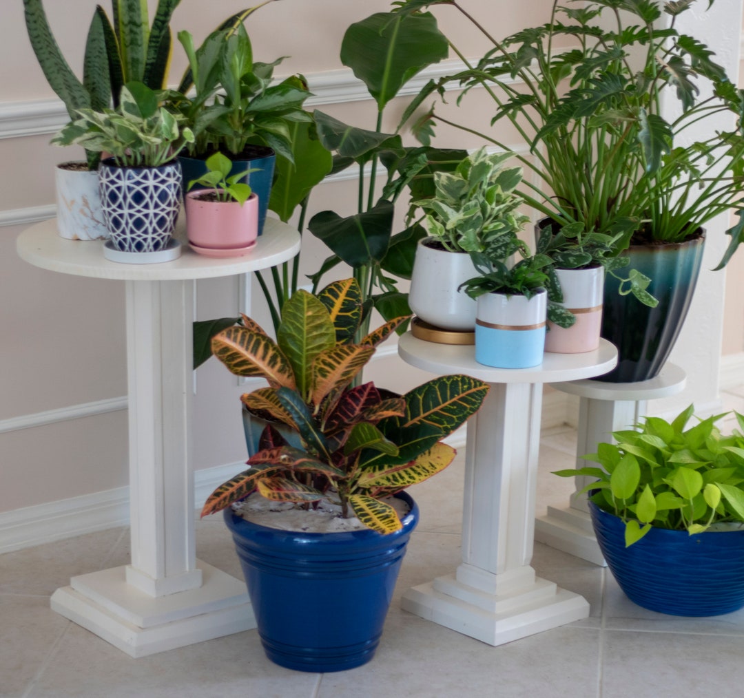 Triple Plant Stand Set - Etsy