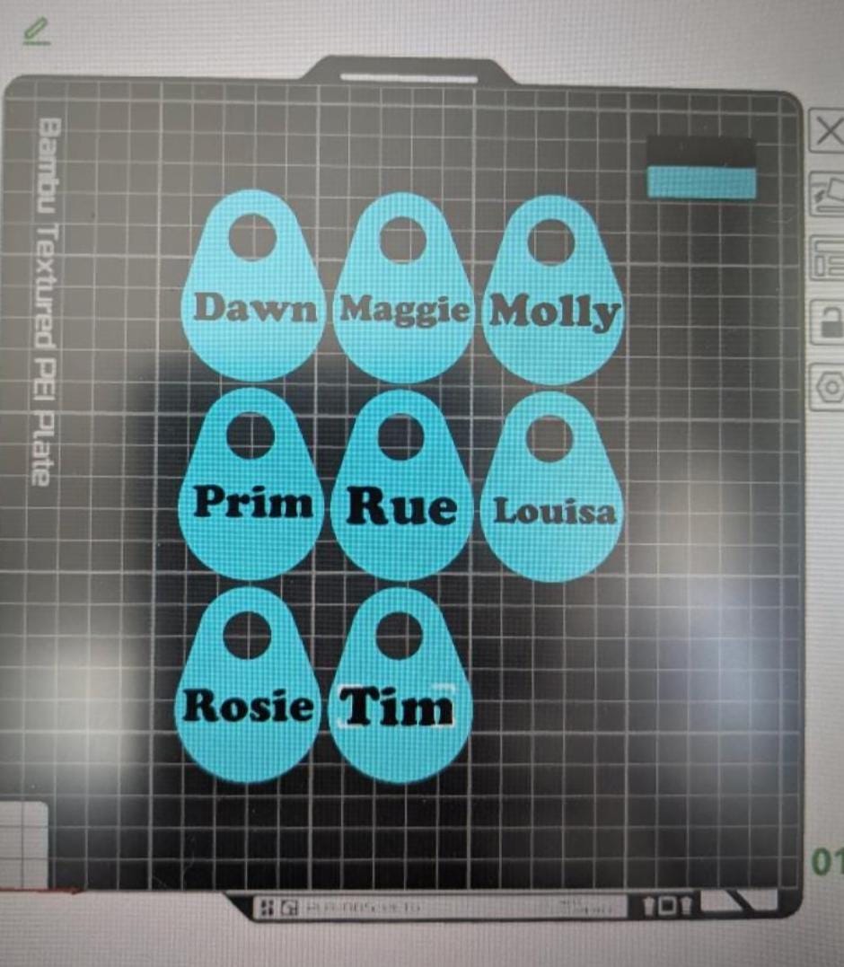Goat Name Tags 3D Printed - Etsy