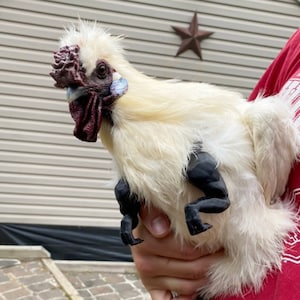 3D Printed Chicken T-rex Arms, Novelty Photo Prop - Etsy