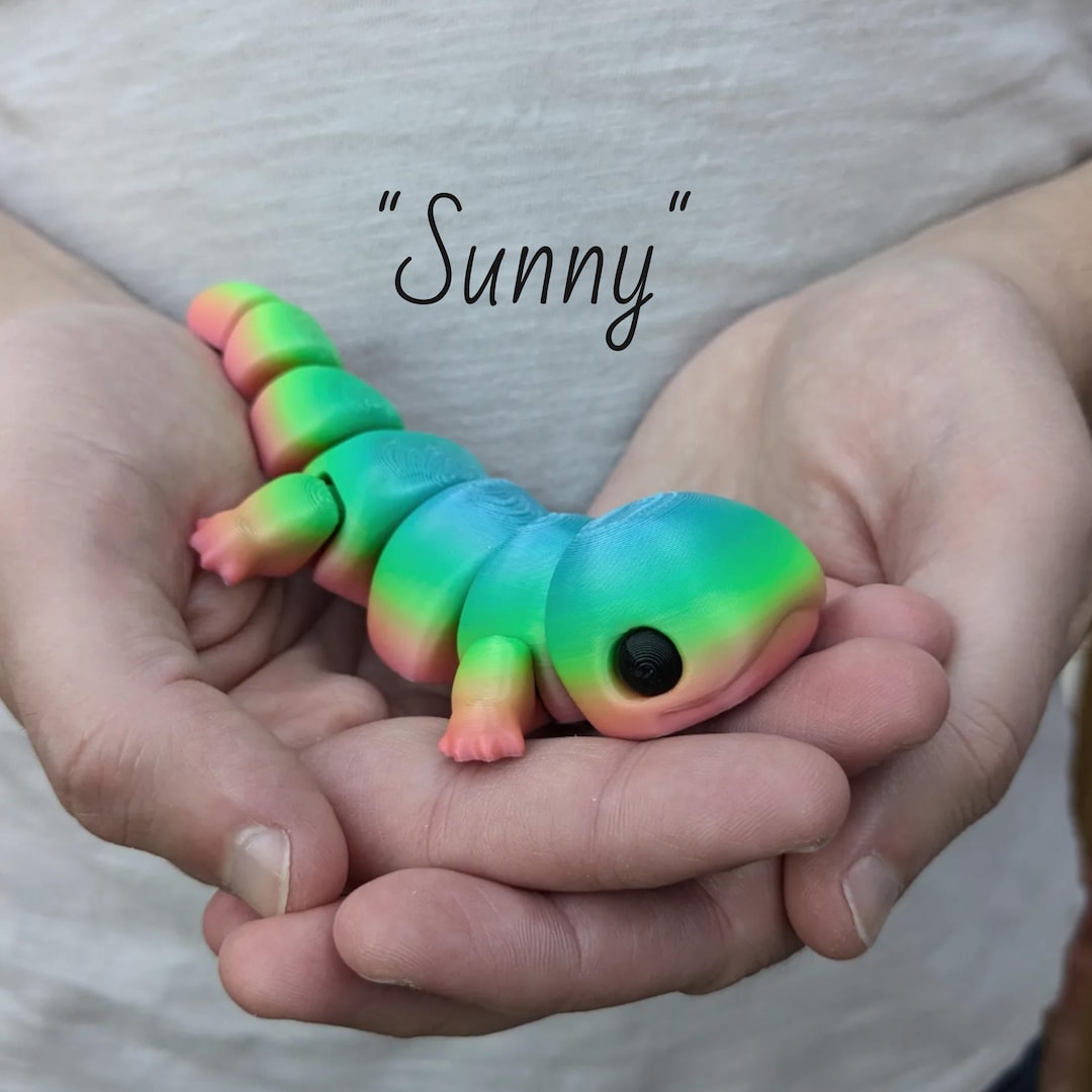 Cute Pet Salamander Wiggle Friend - Etsy
