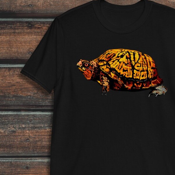 Box Turtle - Etsy