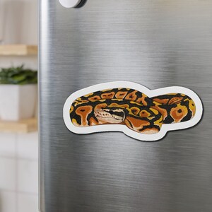 Pastel Ball Python Magnet Snake Magnet Reptile Magnet Ball - Etsy