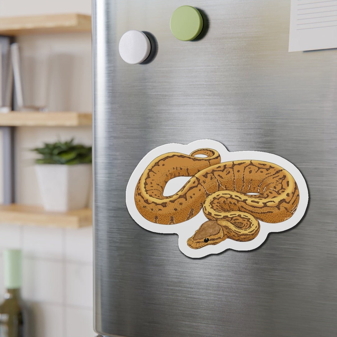 Pinstripe Ball Python Magnet, Snake Magnet, Reptile Magnet, Ball Python ...