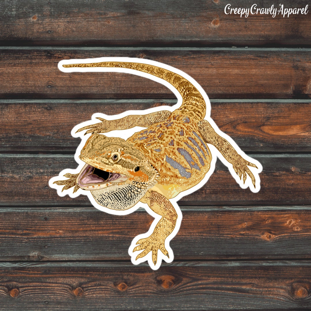 Angry Bearded Dragon Sticker, Reptile Sticker, Lizard Sticker, Vinyl ...