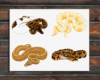 Python Sticker - Etsy