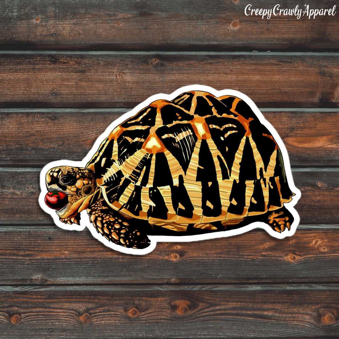 Star Tortoise Sticker, Tortoise Sticker, Reptile Sticker, Vinyl ...